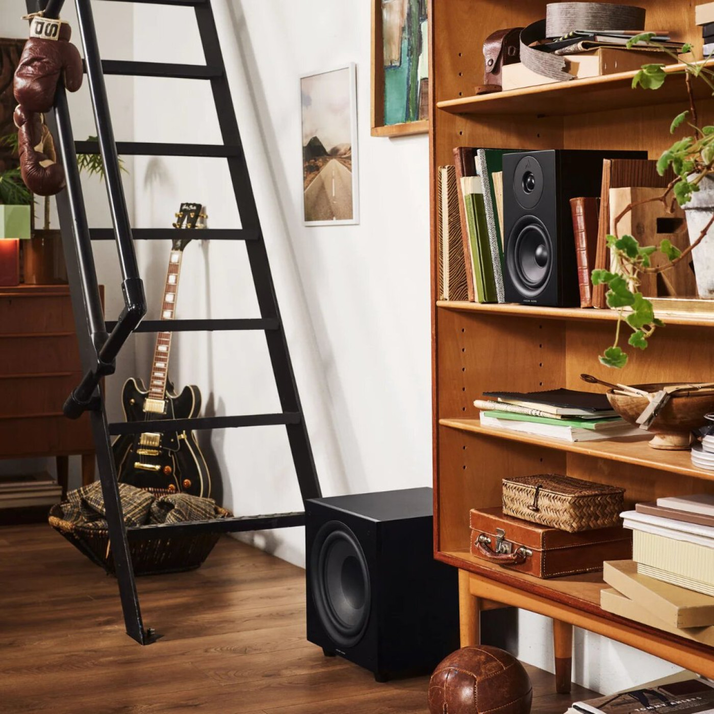 Argon Audio Forus 5 - Black (Per Pair) | Hi-Fi+ Benelux