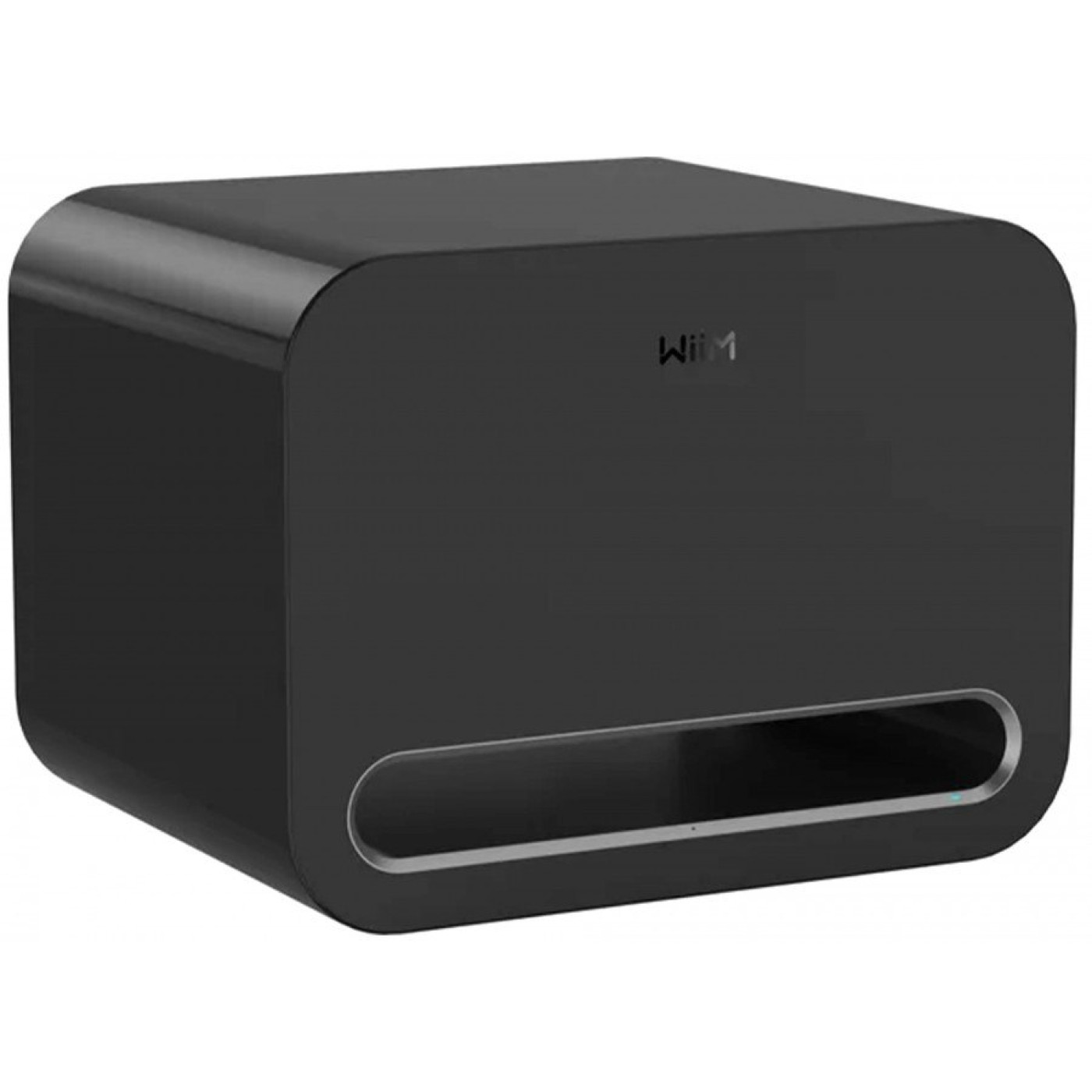 WiiM Sub Pro, subwoofer - Black | Hi-Fi+ Benelux